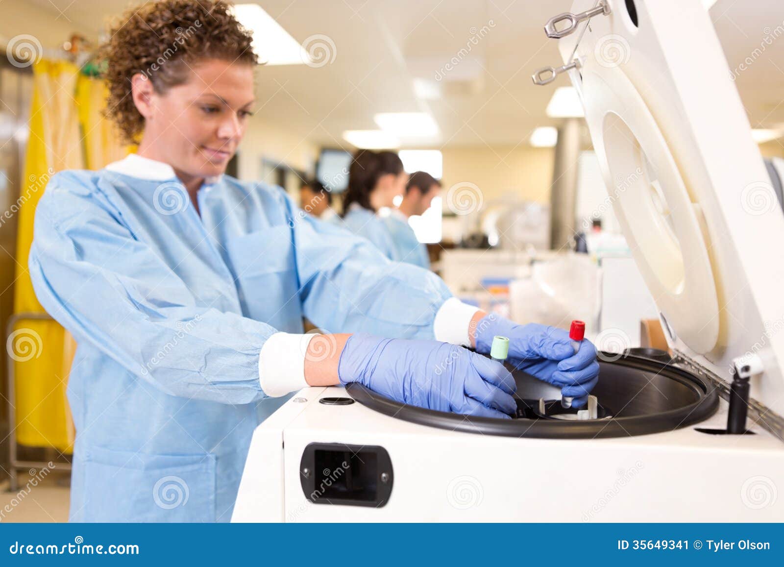Researcher Loading Samples in Centrifuge Stock Image - Image of ...