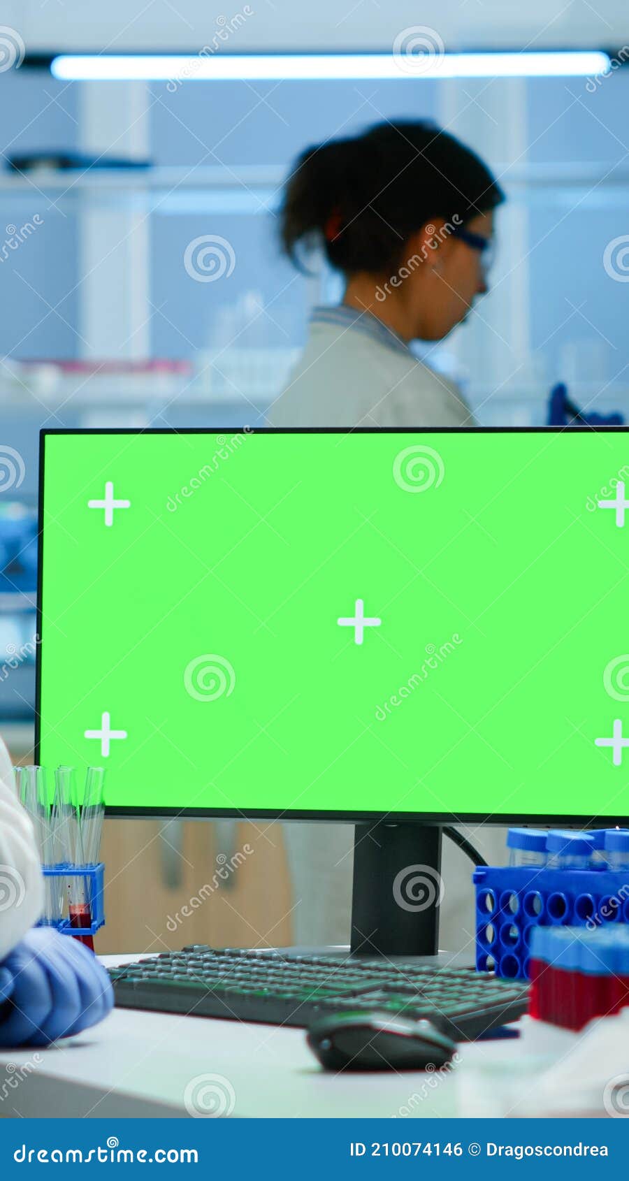 Researcher Looking at Chroma Key Display in Modern Equipped Lab Stock ...