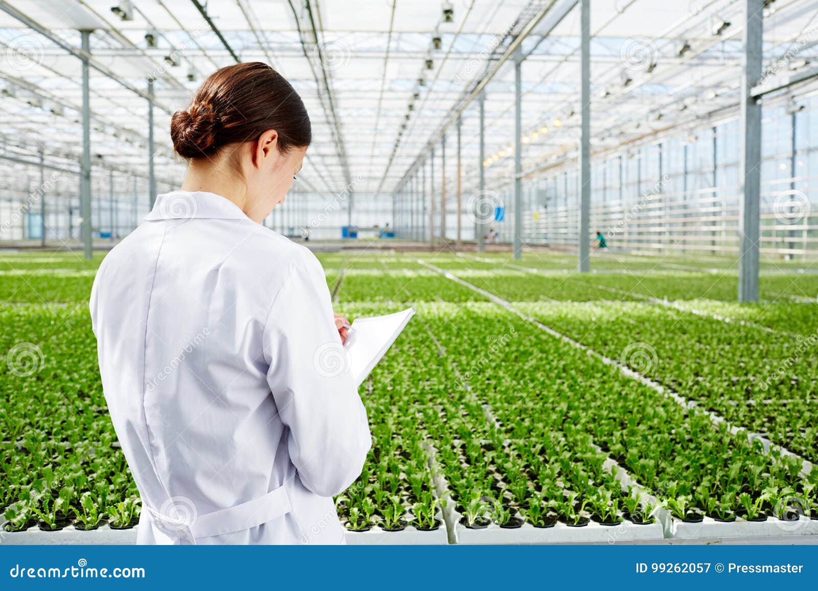 Generic research stock image. Image of generic, farmland - 99262057