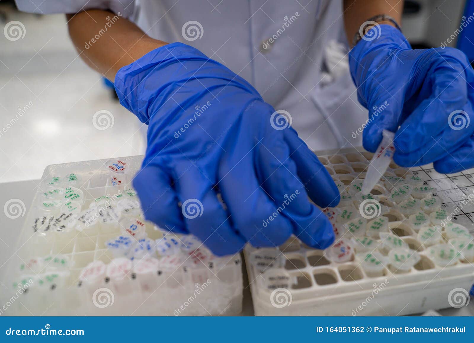 The Researcher Opens The Storage Box That Keeps The Sample In -80C ...