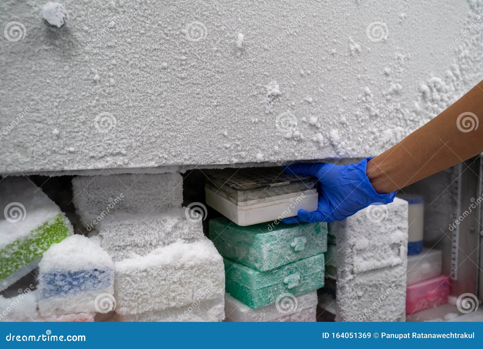 The Researcher Opens the Storage Box that Keeps the Sample in -80C ...