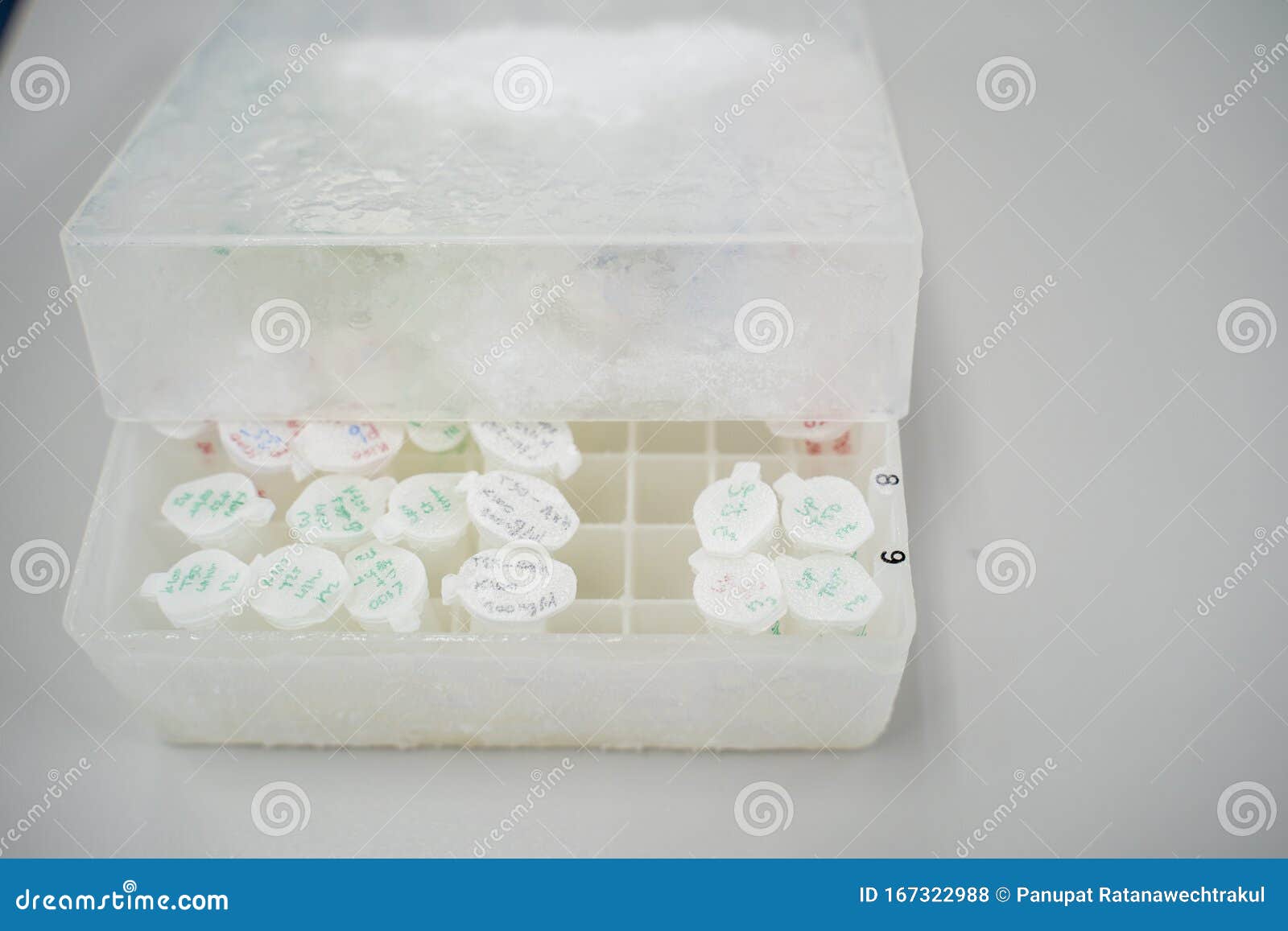 The Researcher Opens The Storage Box That Keeps The Sample In -80C ...
