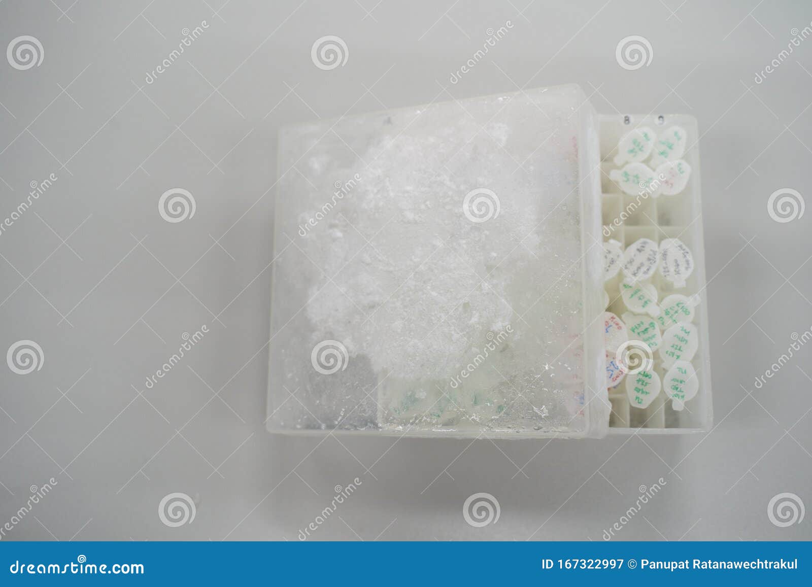 The Researcher Opens the Storage Box that Keeps the Sample in -80C ...