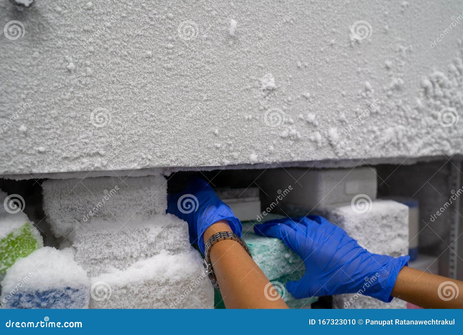 The Researcher Opens the Storage Box that Keeps the Sample in -80C ...