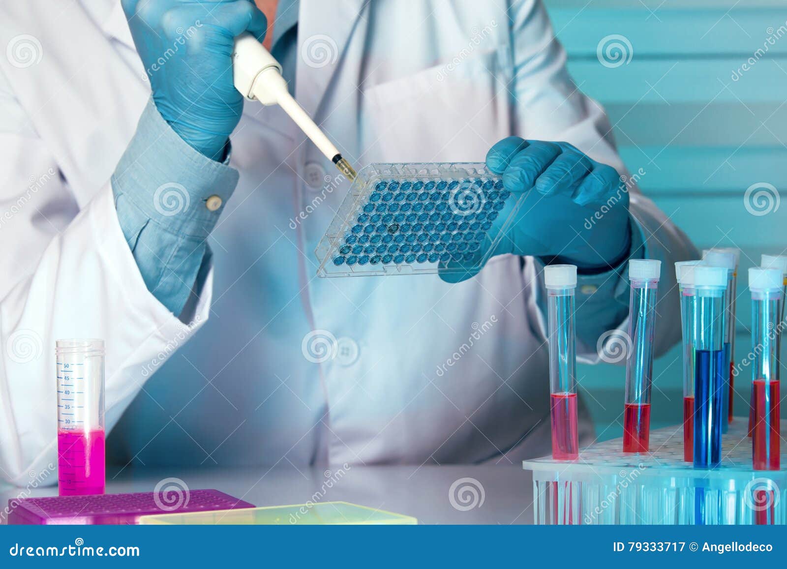 Researcher Pipetting Samples in Micro Plate Stock Image - Image of ...