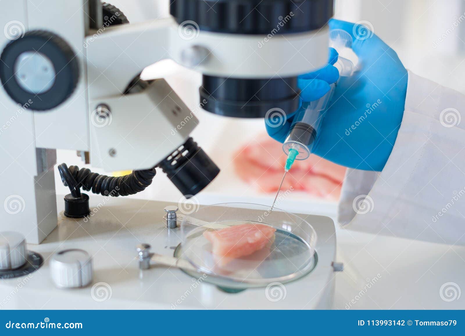 Researcher Studying Sample of Artificial Meat in Modern Laboratory ...