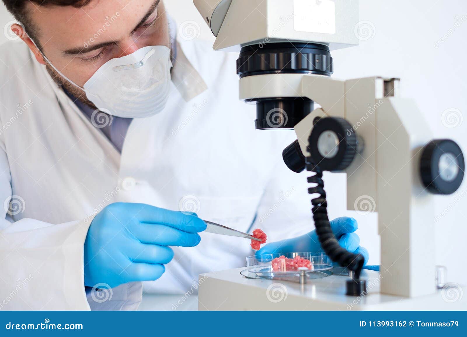 Fresh Meat Sample Quality Control in Laboratory Microscope Stock Photo ...