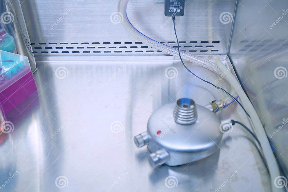 Kill the Pathogen or Bacteria and Prevent the Contramination in the ...