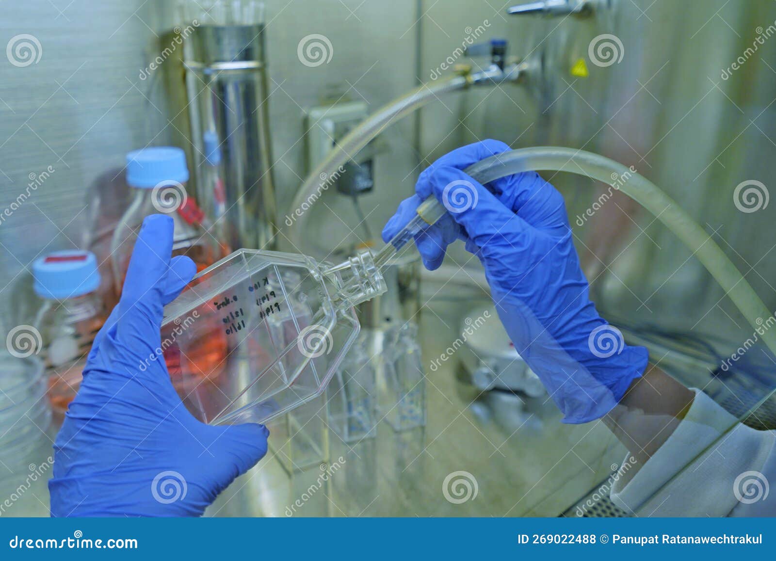 The Researcher Using Glass Pasteur Pipette Can Be Used for Toxic ...