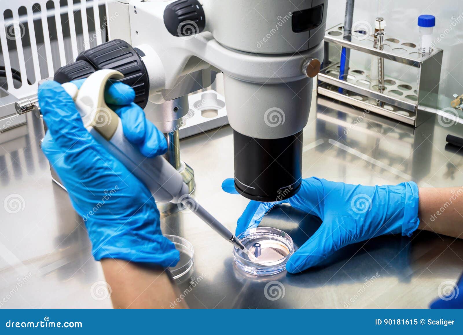 Researcher Using a Microscope in Laboratory Stock Image - Image of ...