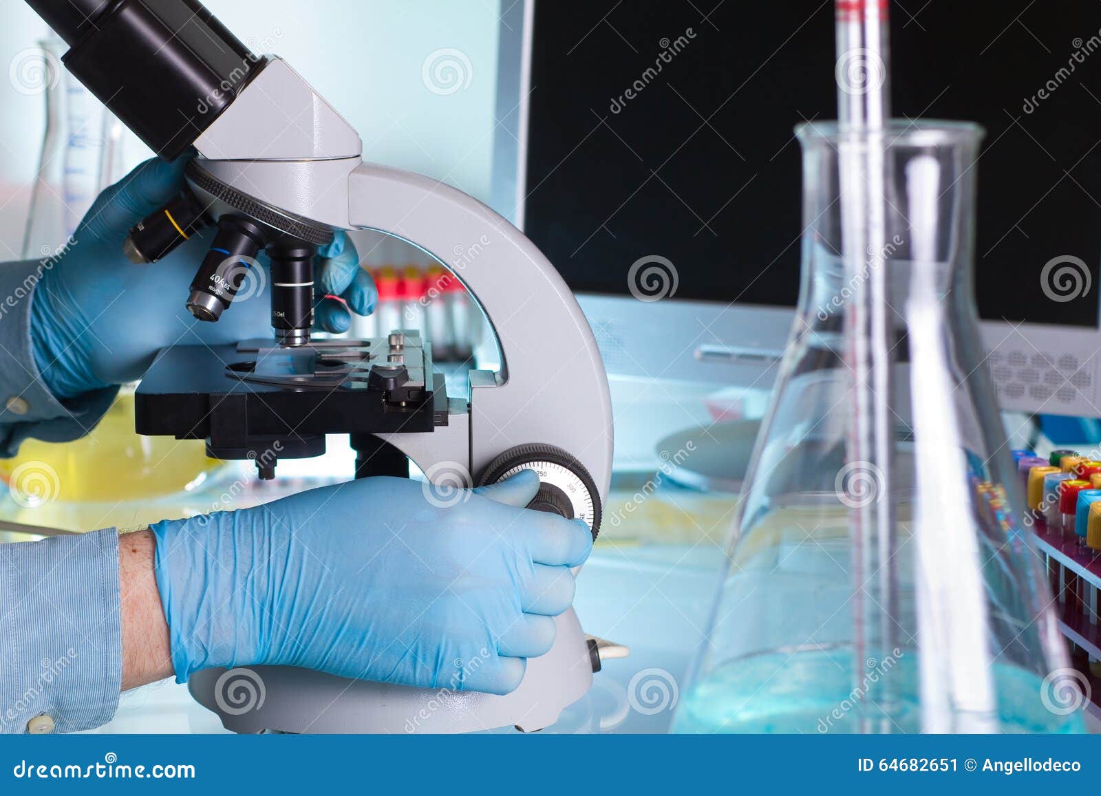 Researcher Working with Micro in the Workbench Laboratory Stock Image ...