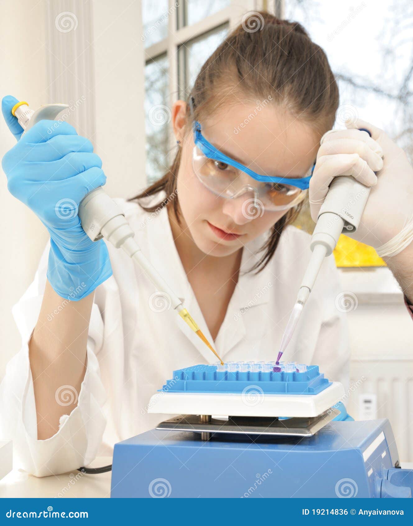 Researchers Loading DNA Samples Stock Photo - Image of human, research ...