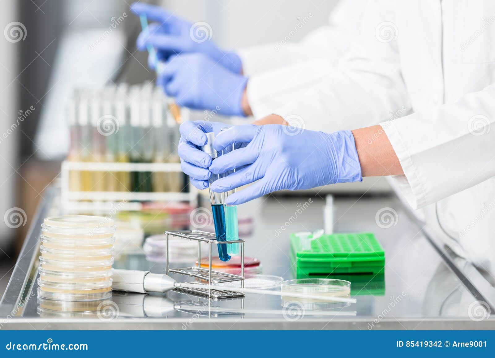 Researchers Preparing Samples for Experiments in Laboratory Stock Photo ...