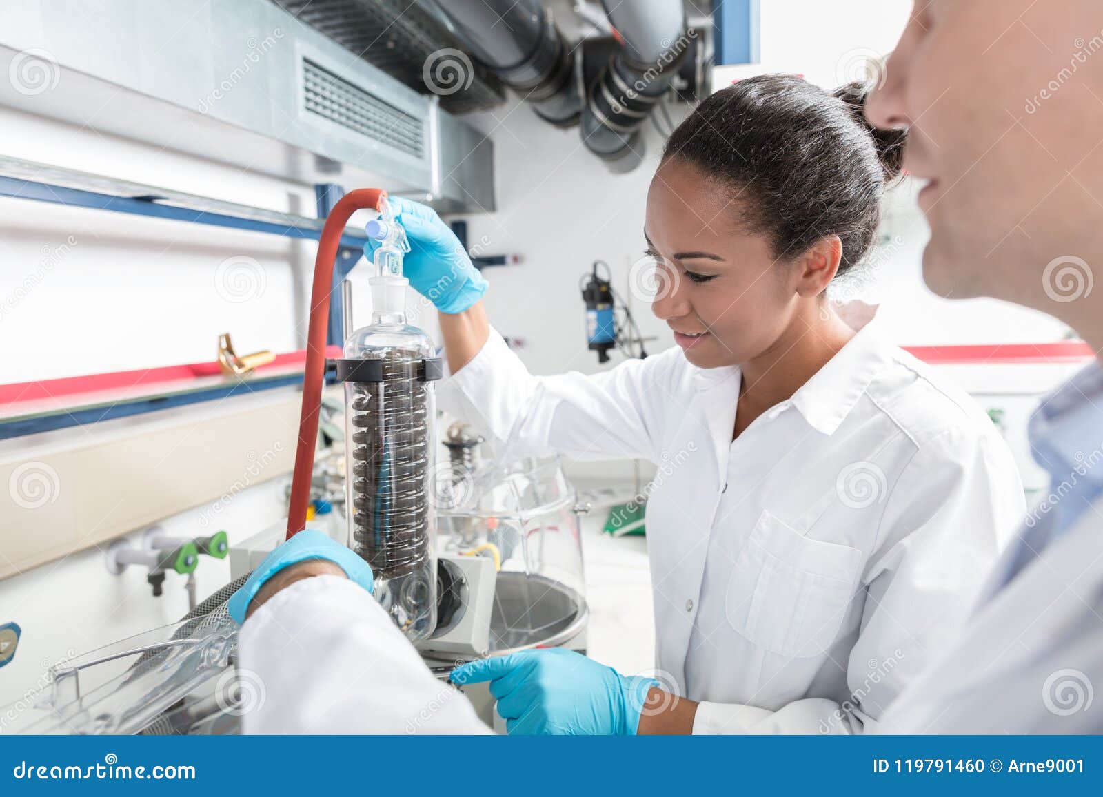 Researchers Preparing Test in Scientific Laboratory Stock Photo - Image ...