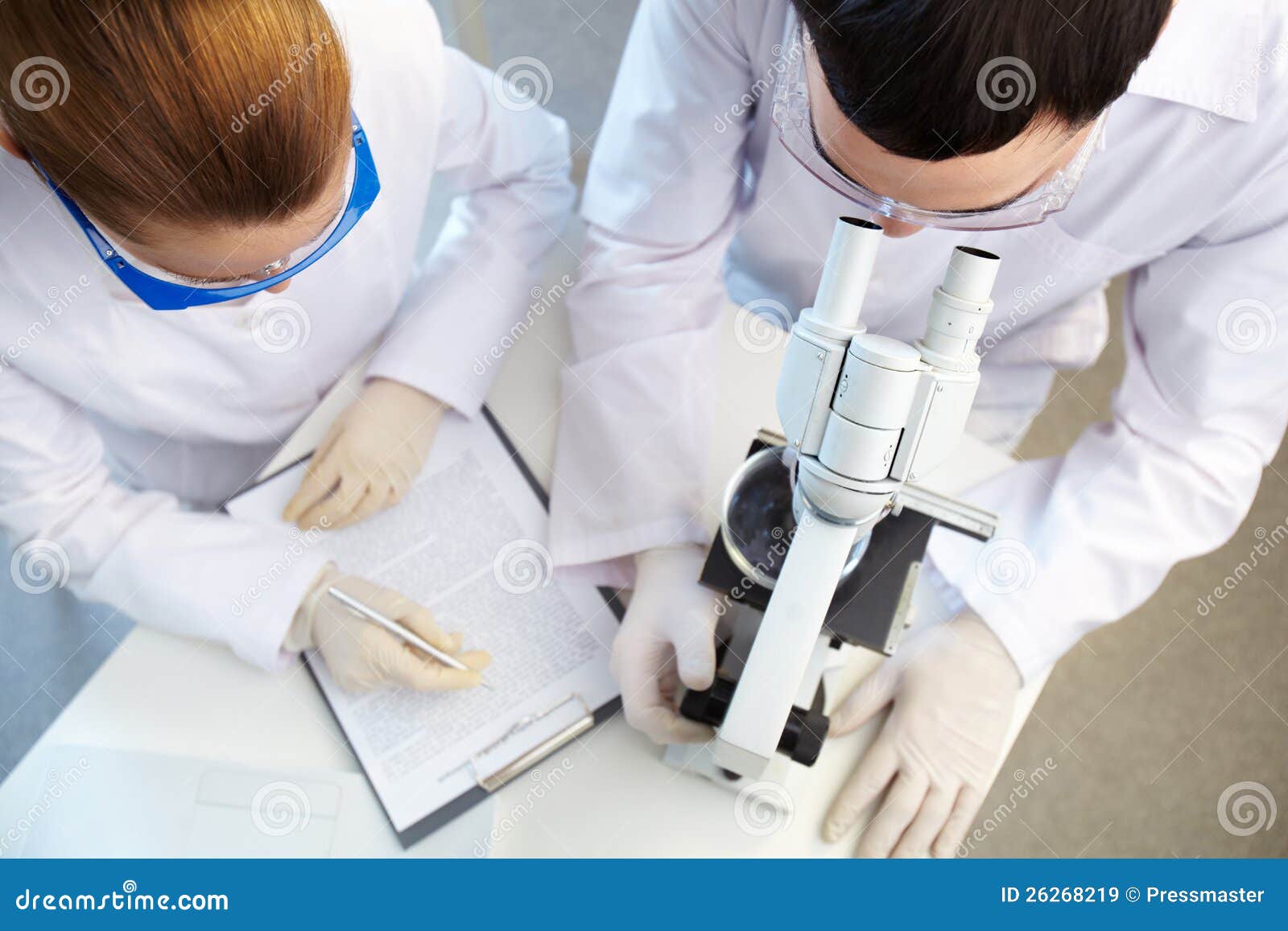 Researchers at work stock image. Image of lady, laboratory - 26268219