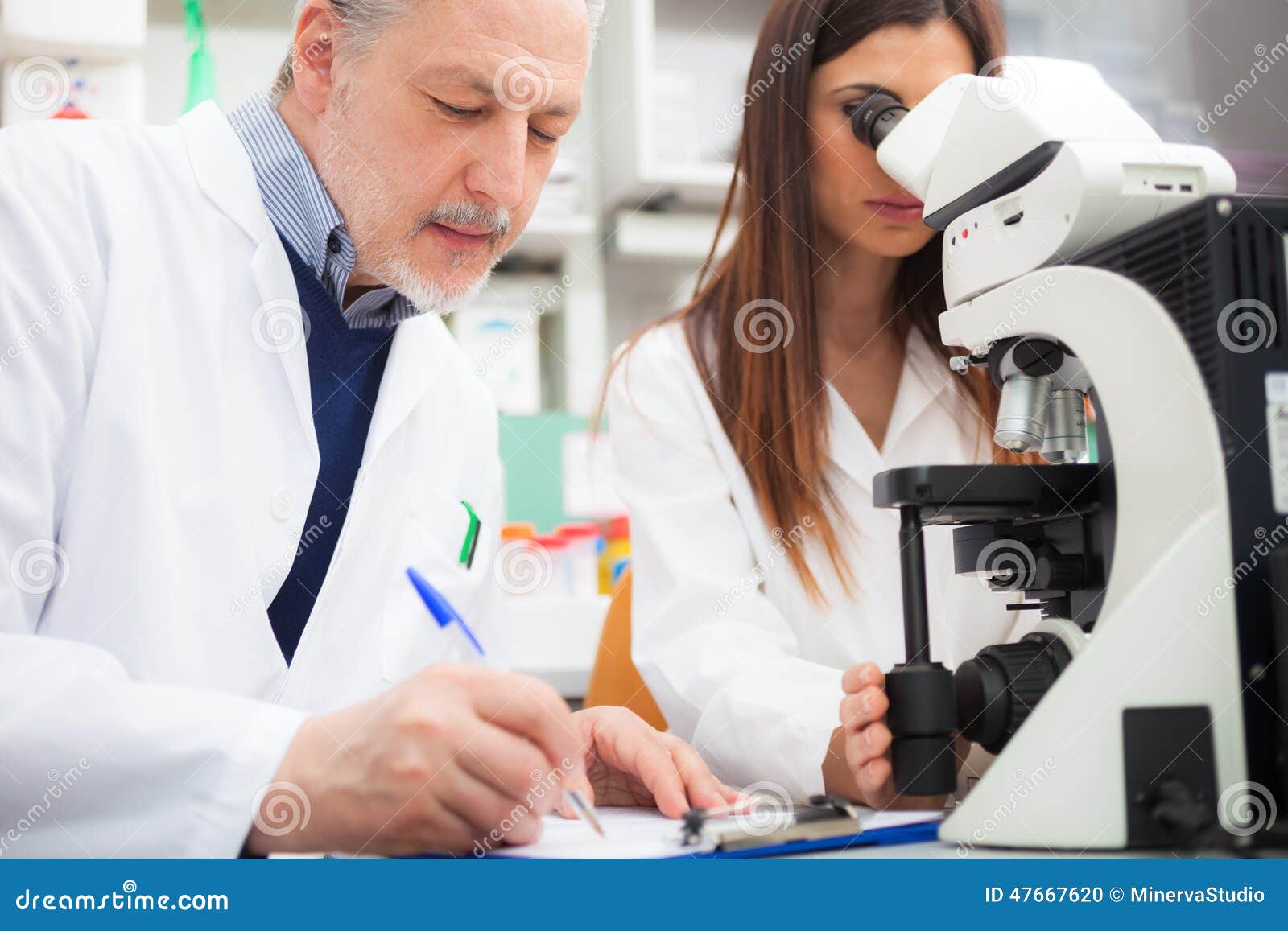 Researchers at work stock photo. Image of experiment - 47667620