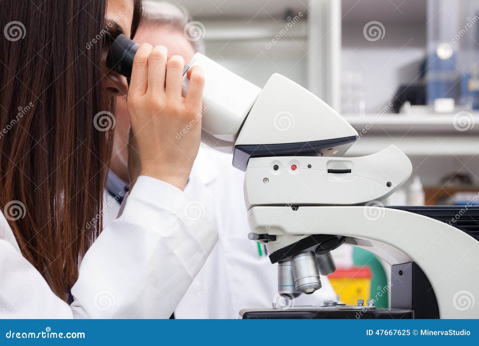Researchers at work stock image. Image of analytical - 47667625