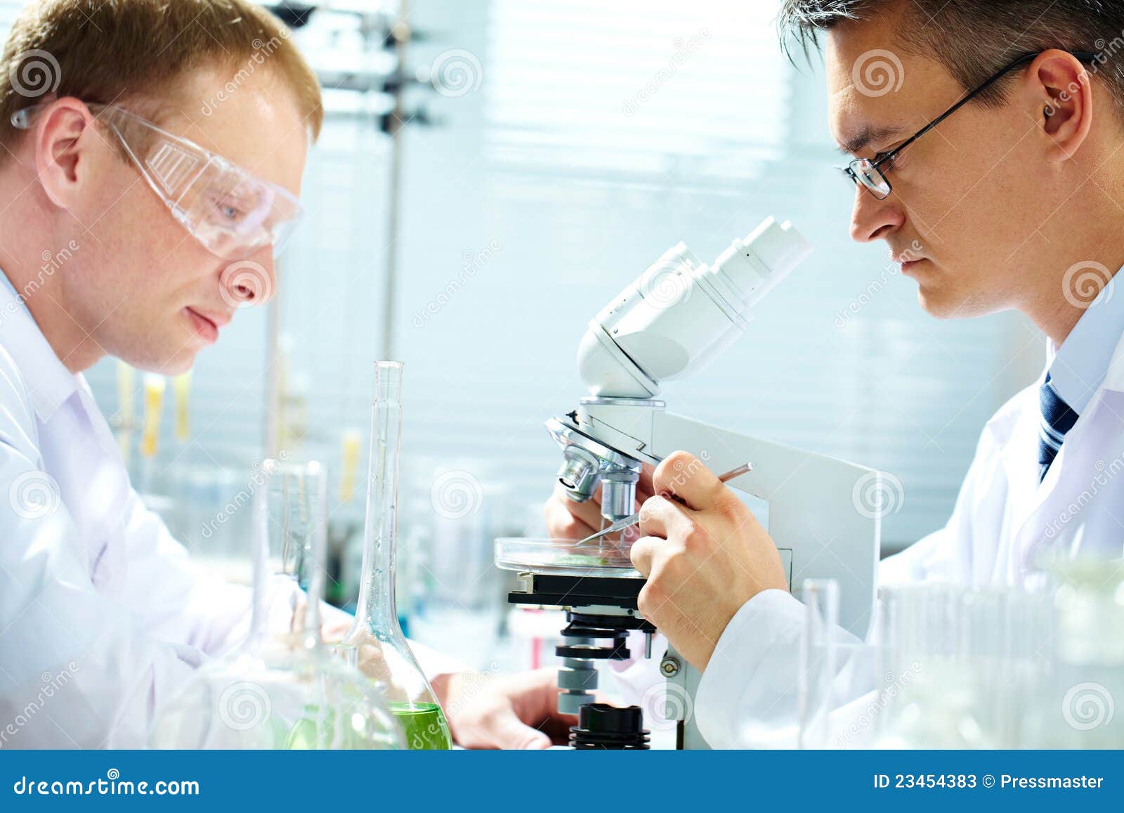 Researching stock image. Image of handsome, people, pharmaceutical ...