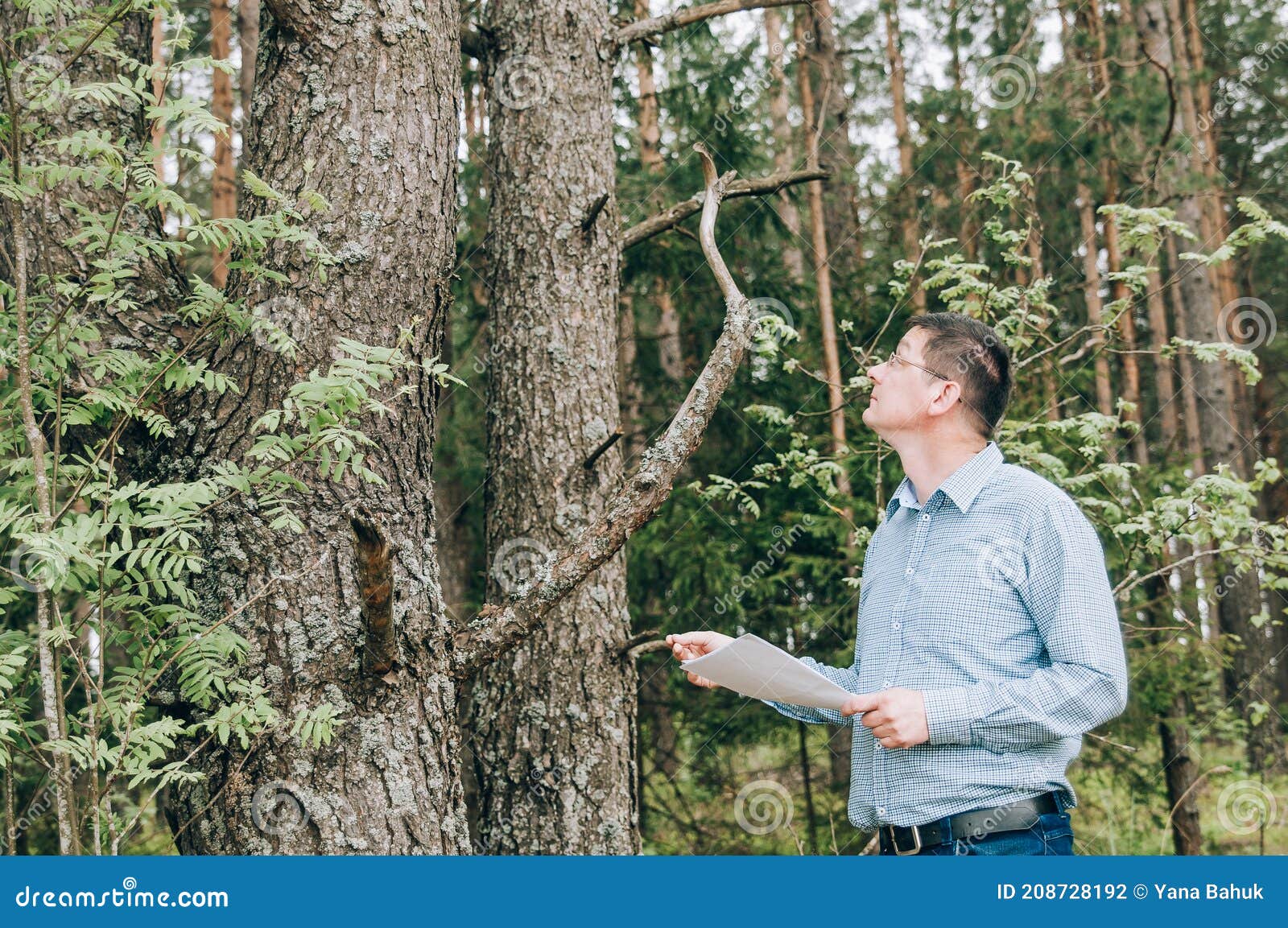 Researching Record Data in the Forest Study Woods in the Europe. Stock ...