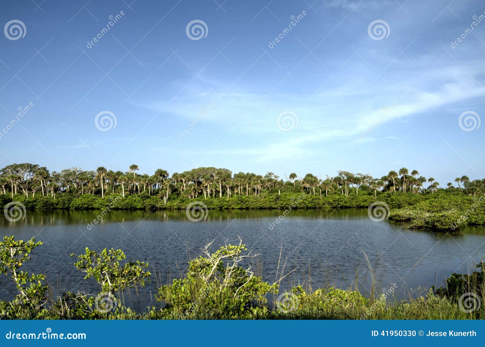 Reserva De La Isla De Merritt Foto de archivo - Imagen de florida, azul ...