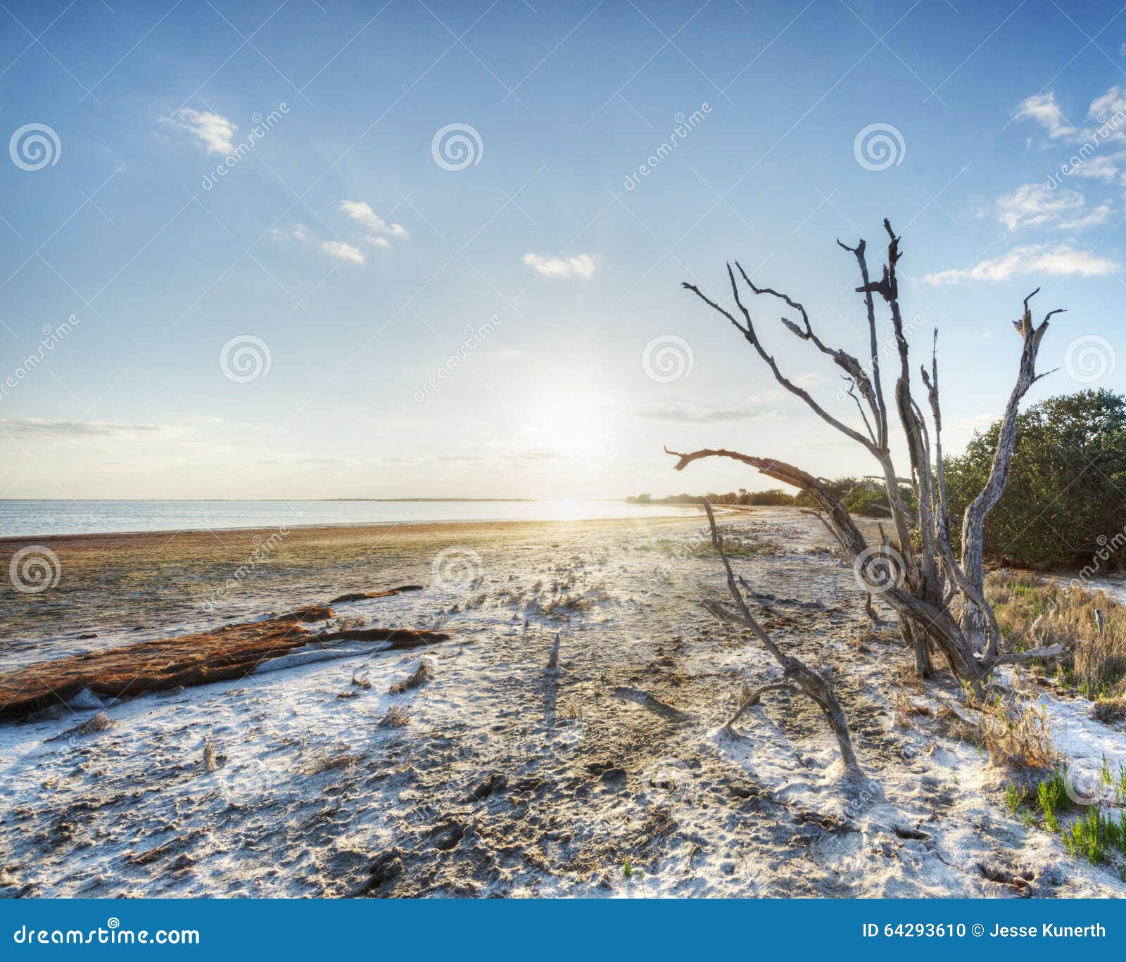 Reserva De La Isla De Merritt Foto de archivo - Imagen de isla, florida ...