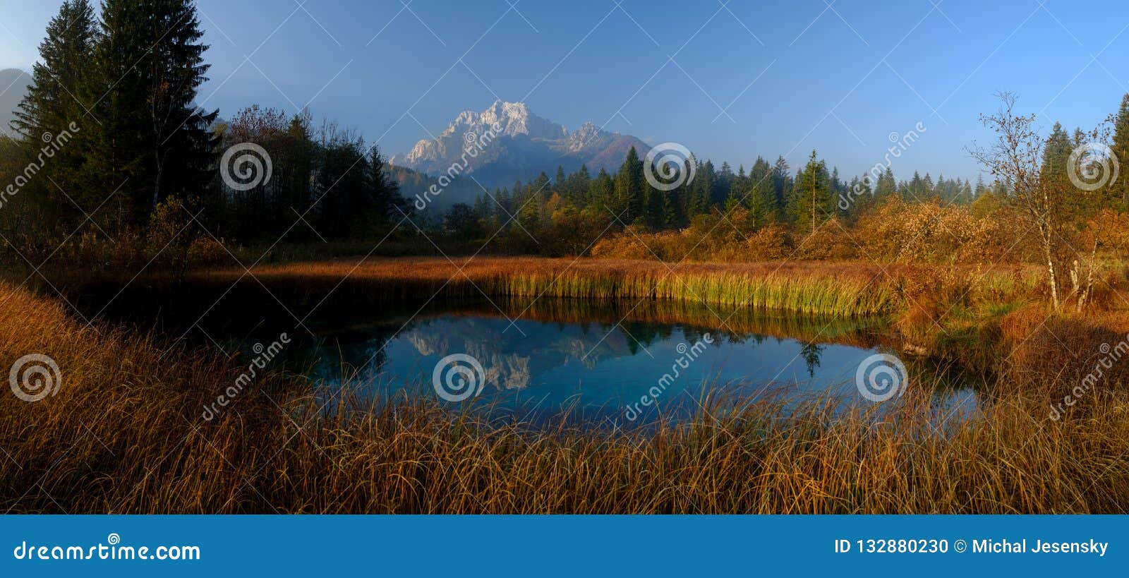 Reserva Natural Eslovenia De Zelenci Foto de archivo - Imagen de lago ... Reserva Natural Eslovenia De Zelenci Foto de archivo - Imagen de lago ...