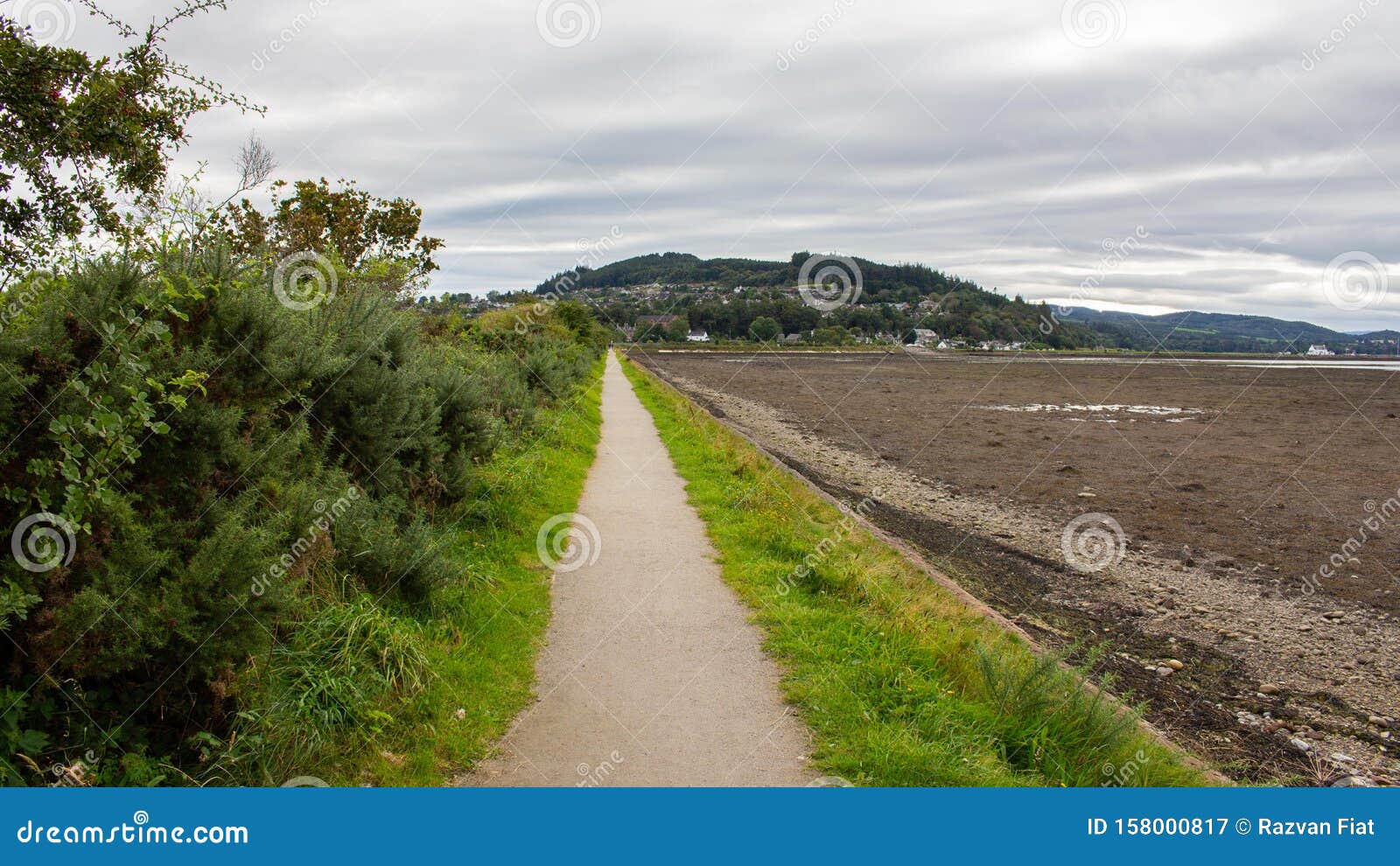 Reserva Natural Local De Merkinch Imagen de archivo - Imagen de ciervos ...