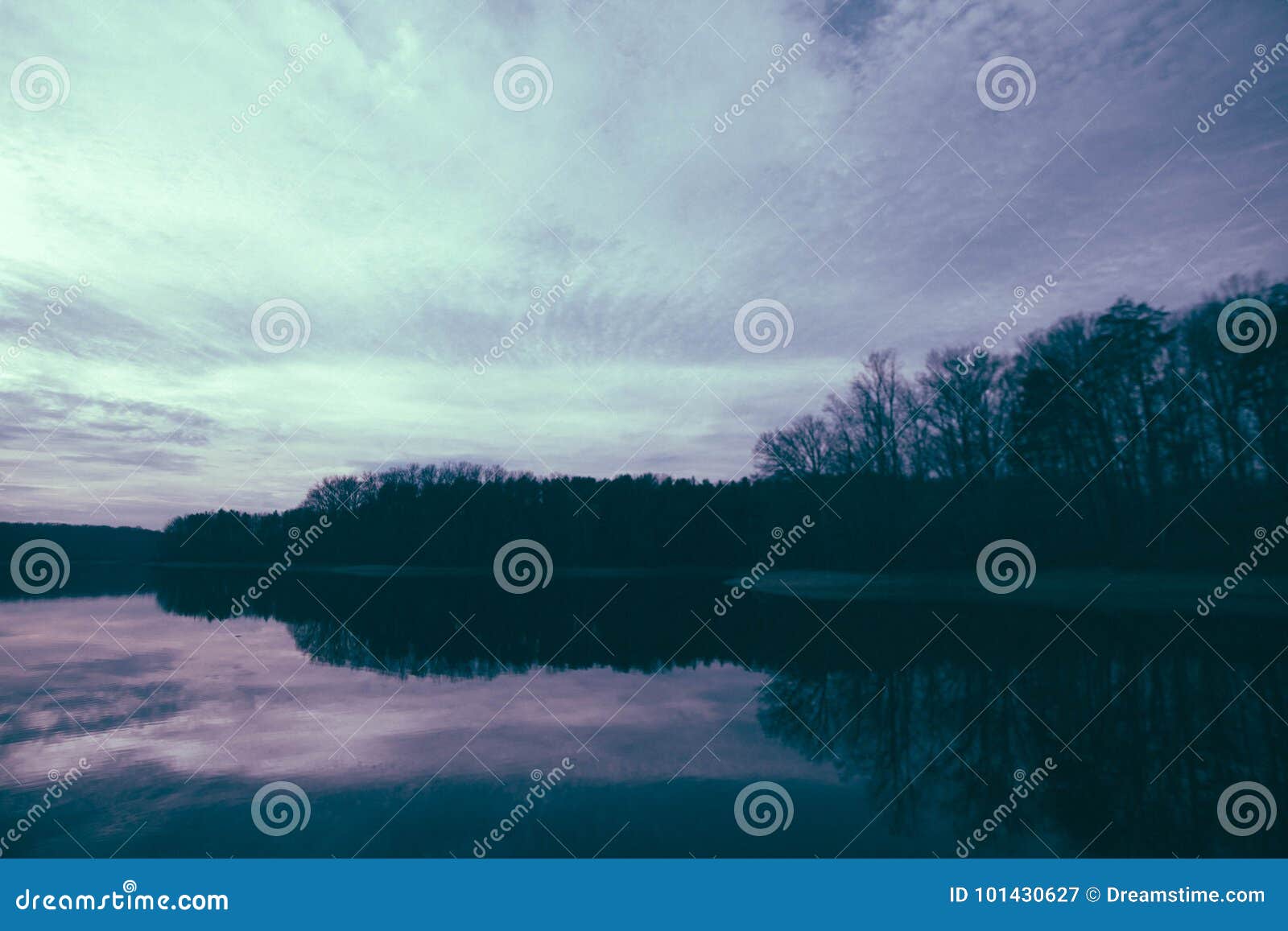 Reservoir Bed stock image. Image of foreset, dense, lake - 101430627