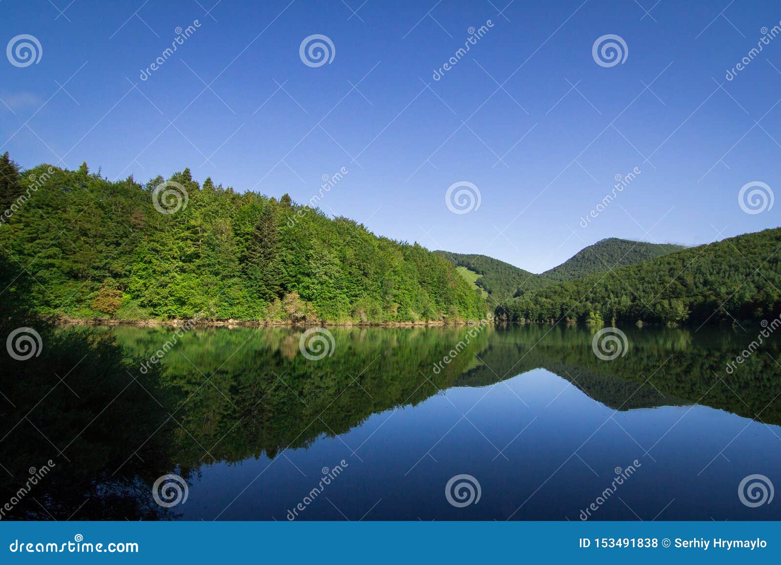 Reservoir forest stock photo. Image of nature, river - 153491838