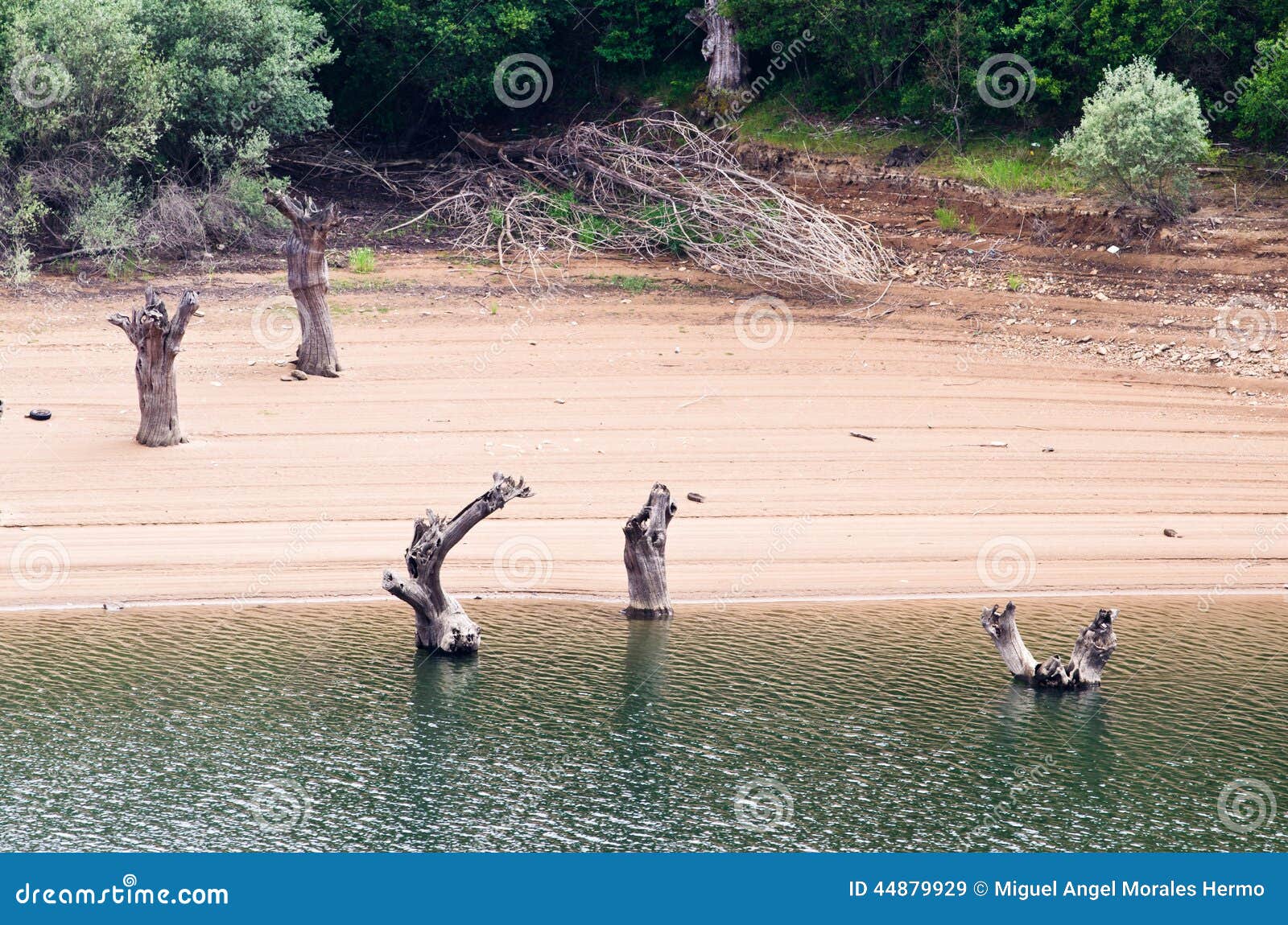 Reservoir stock image. Image of water, reservoir, tree - 44879929