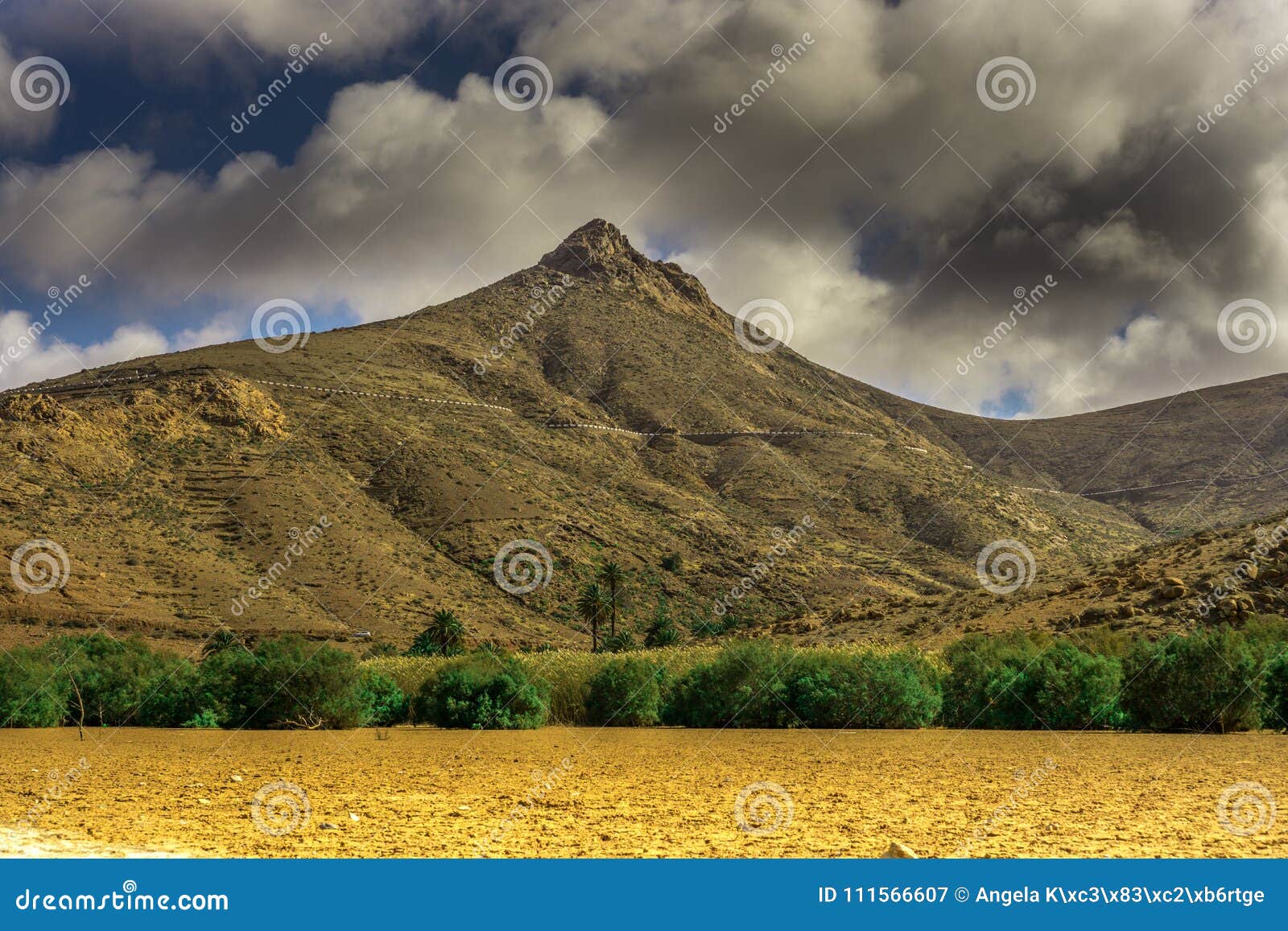 Reservoir without Water with Green Trees Stock Image - Image of spain ...