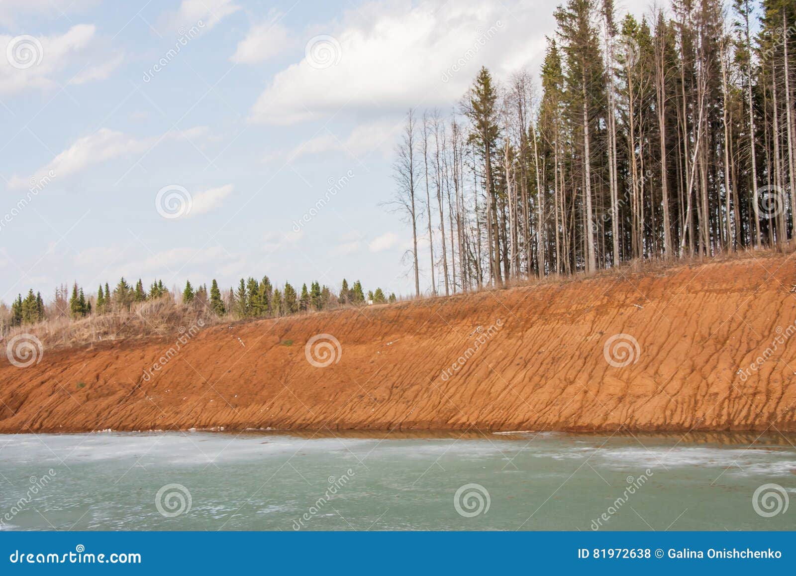 Reservoir about a wood stock photo. Image of spring, pine - 81972638