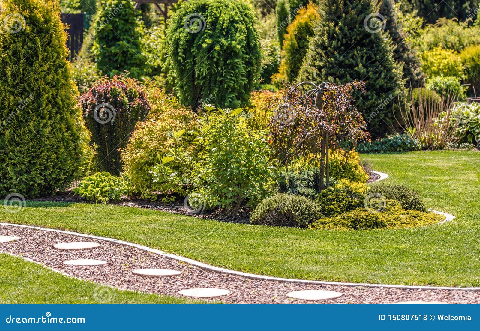 Residential Backyard Garden Stock Photo - Image of botanical ...