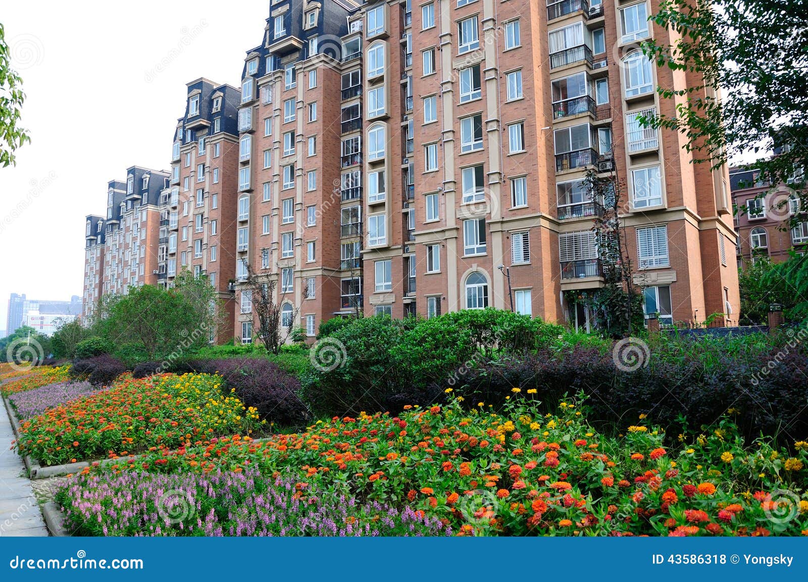 Residential building stock photo. Image of nanjing, architecture - 43586318