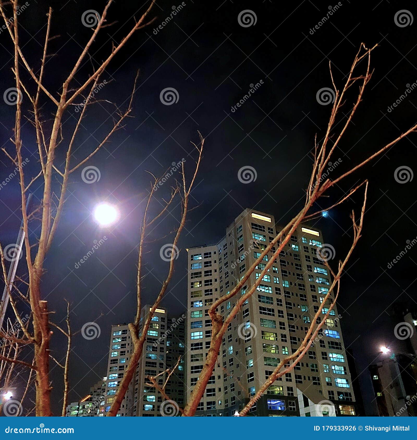 Residential Building at Night with Moon and Tree Stock Photo - Image of ...