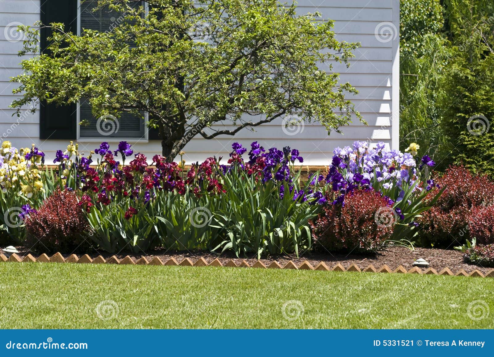 Residential Flower Garden stock image. Image of landscaping - 5331521