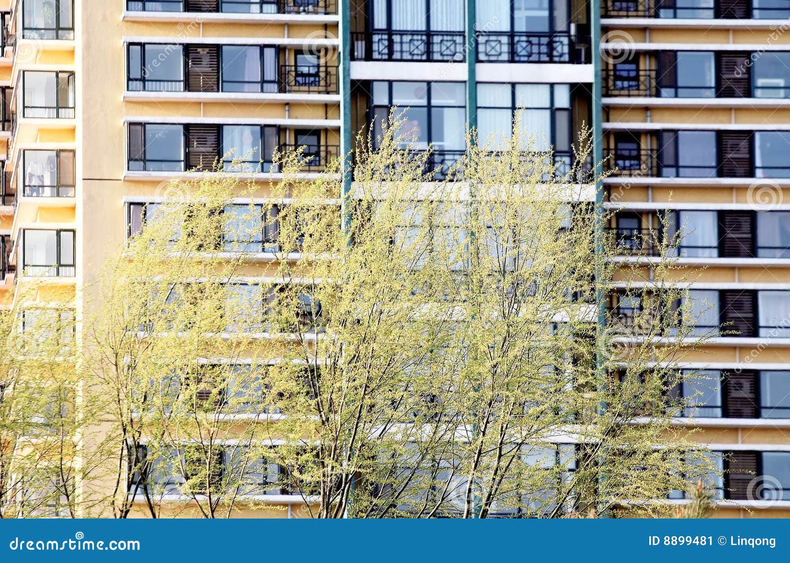 Residential Homes in Spring Stock Image - Image of residential, home ...