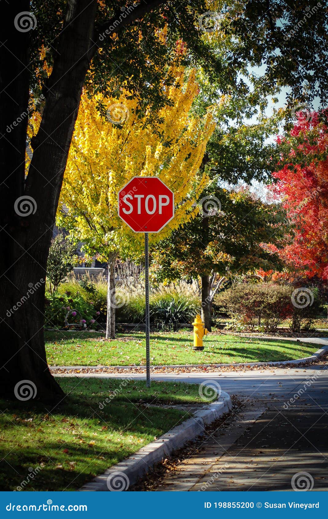 Residential Neighborhood in Autumn with Stopsign and Fire Hydrant at ...