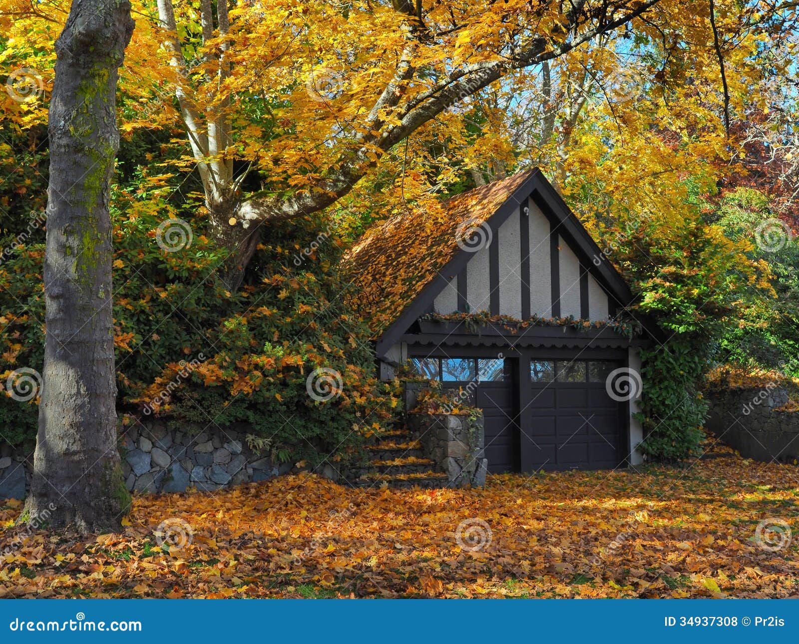 Residential Street in the Fall Stock Photo - Image of urban, autumn ...