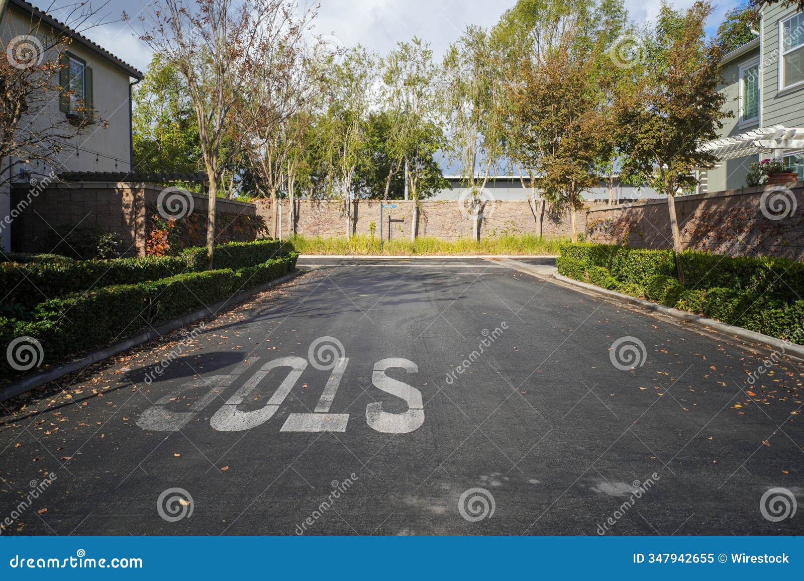 Residential Street with SLOW Sign Stock Image - Image of safety, slow ...