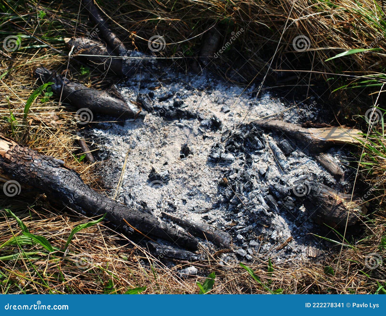 The Residue Comes from a Fire in the Grass Stock Image - Image of wild ...