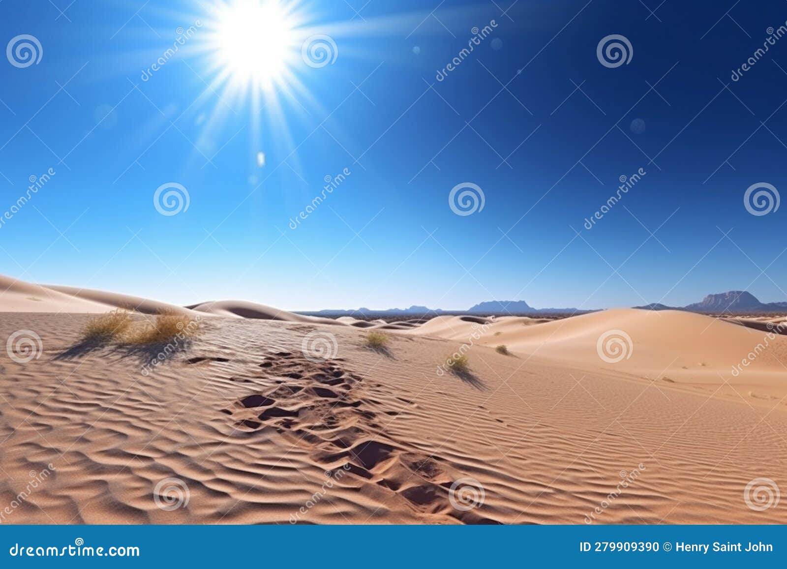 Resilience Amidst The Sands: A Closer Look At The Desert Ecosystem ...