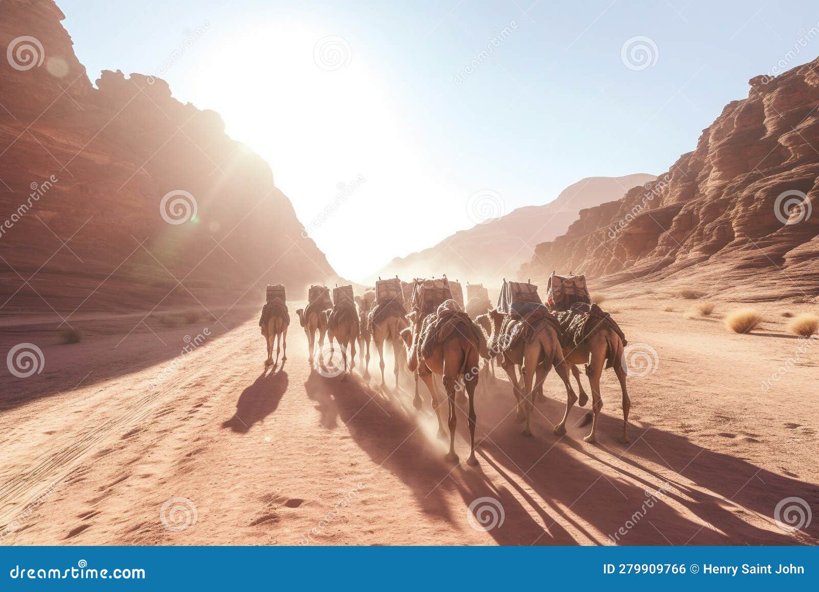 Resilience Amidst The Sands: A Closer Look At The Desert Ecosystem ...