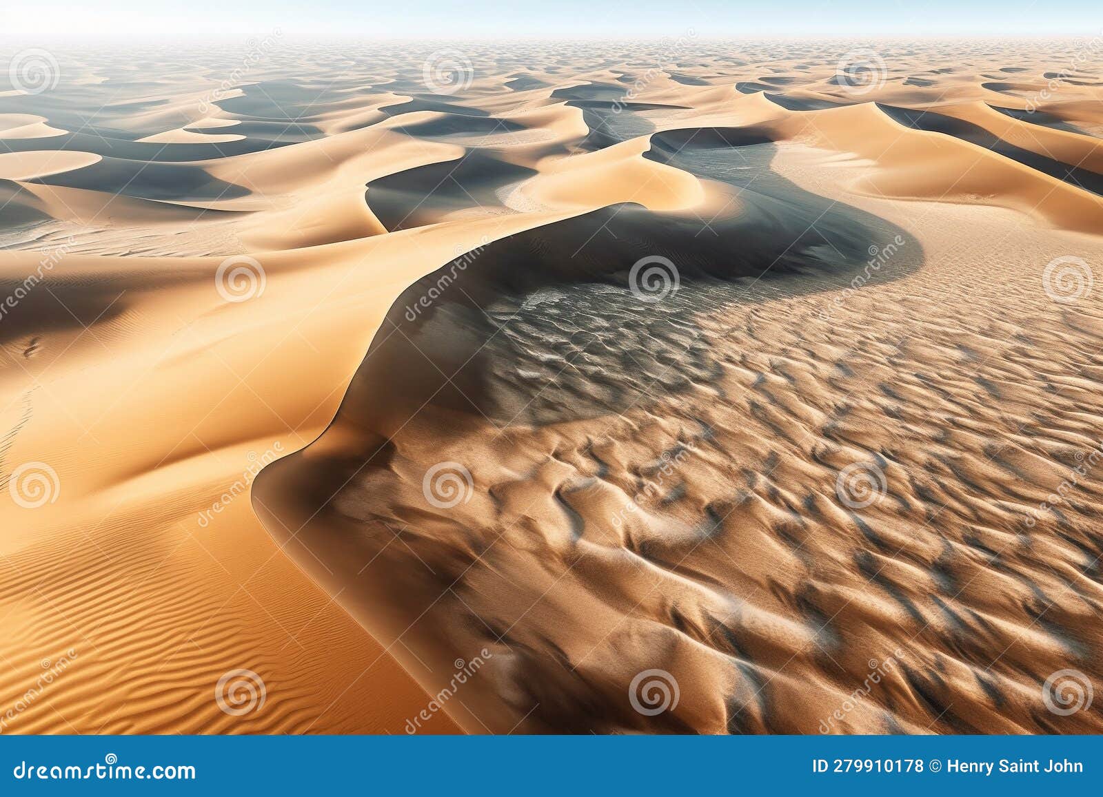 Resilience Amidst The Sands: A Closer Look At The Desert Ecosystem ...