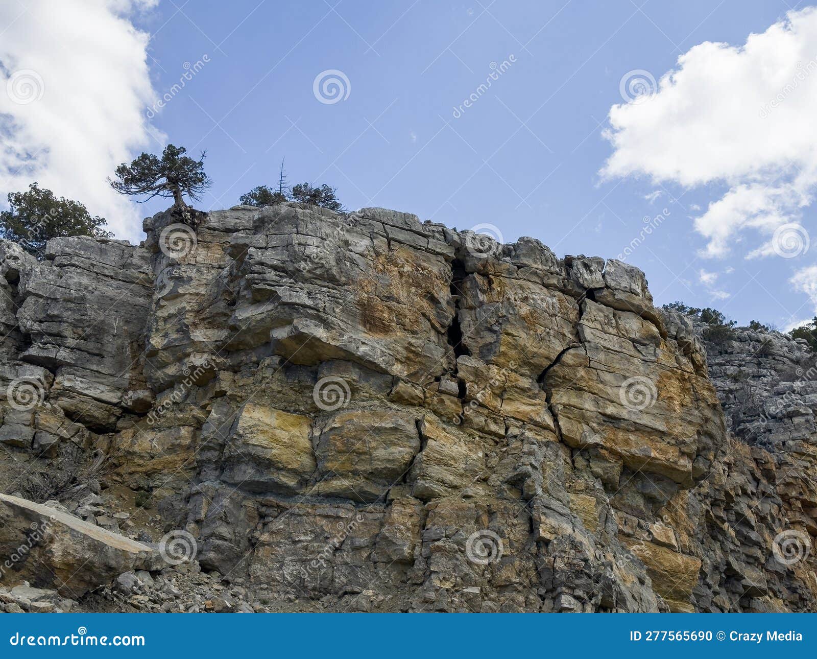 The Resilience, Durability and Survival of the Tree on the Cliff Stock ...