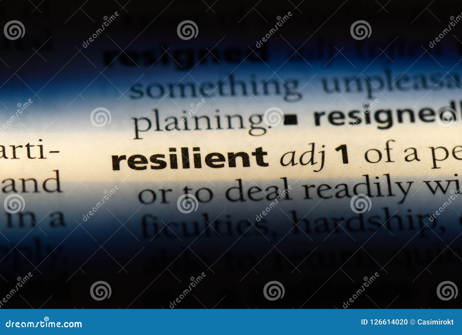 Resilient stock photo. Image of macro, resilient, definition - 126614020