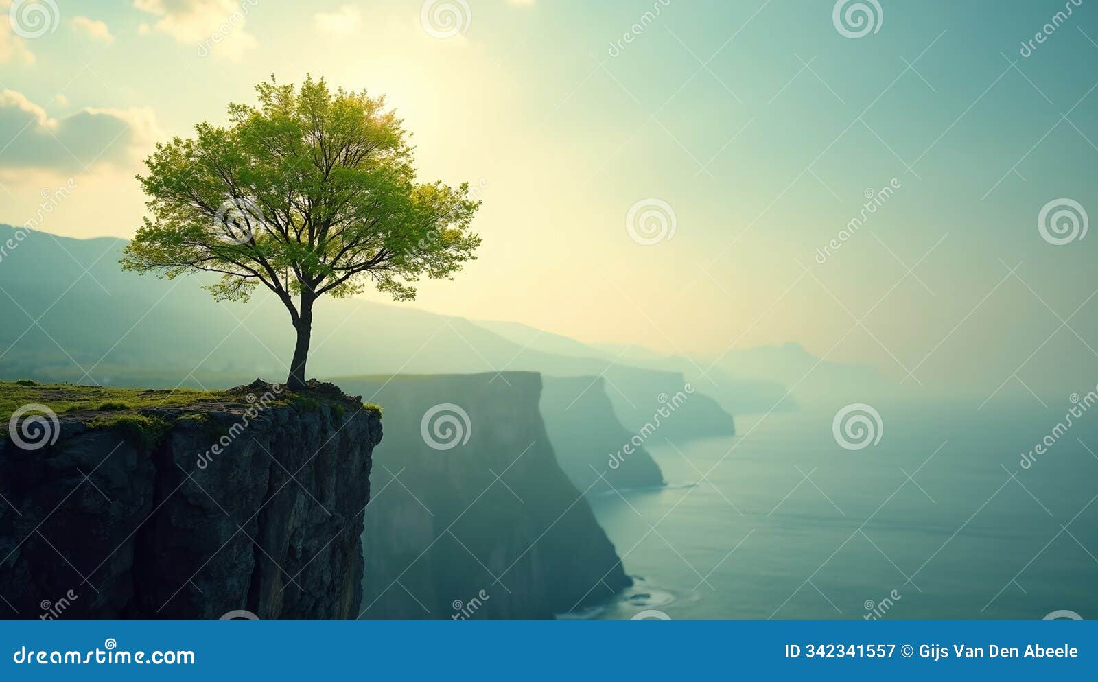 Resilient Tree on Cliff Edge Reaching for Sunlight Stock Illustration ...