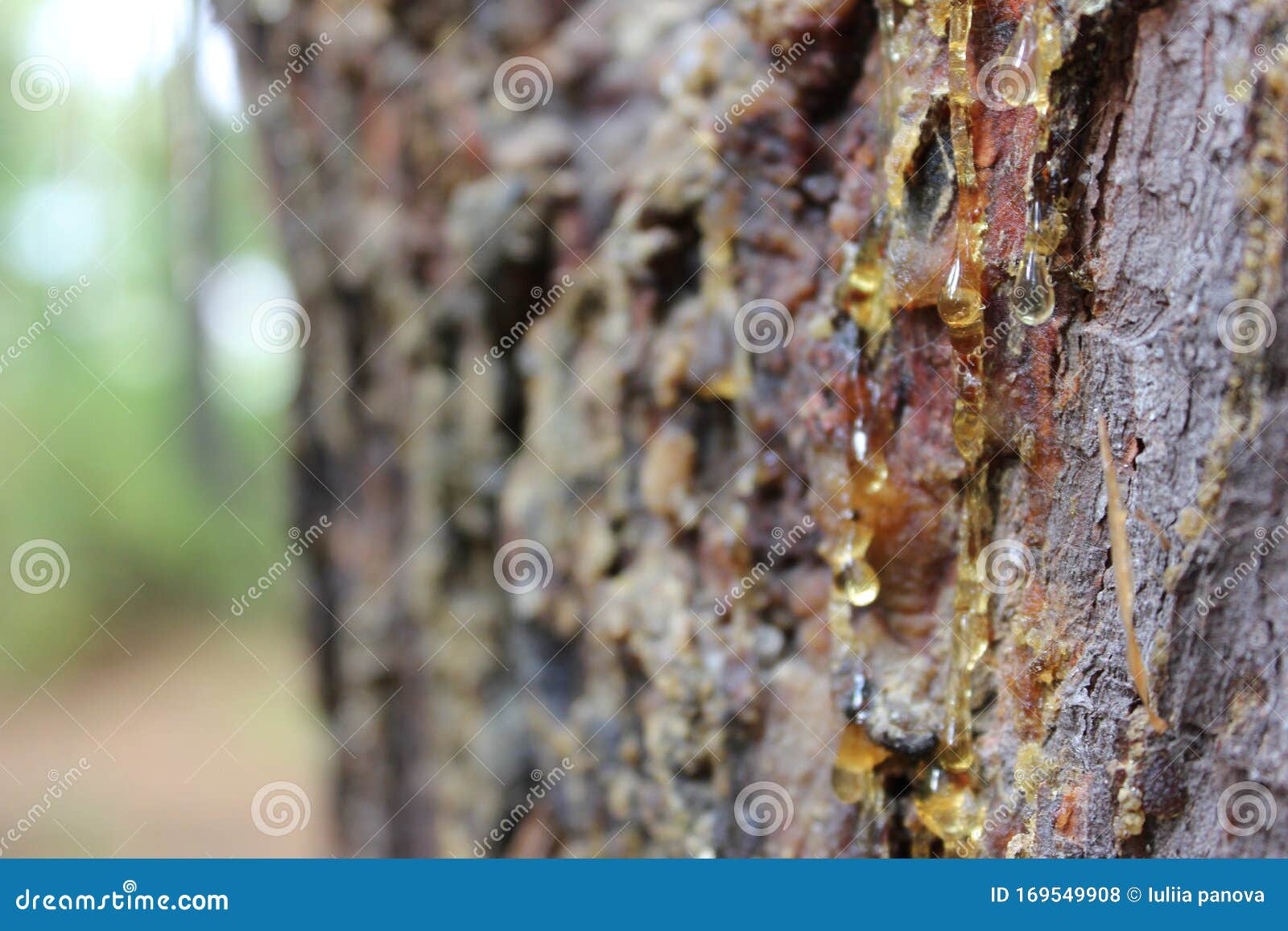 Resin drops stock photo. Image of resin, green, drops - 169549908