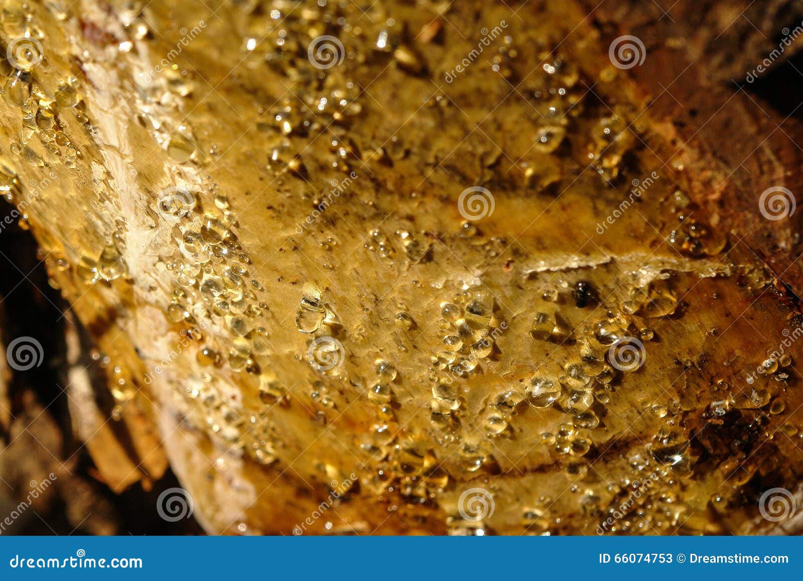 Resin drops stock image. Image of droplets, drops, transparent - 66074753