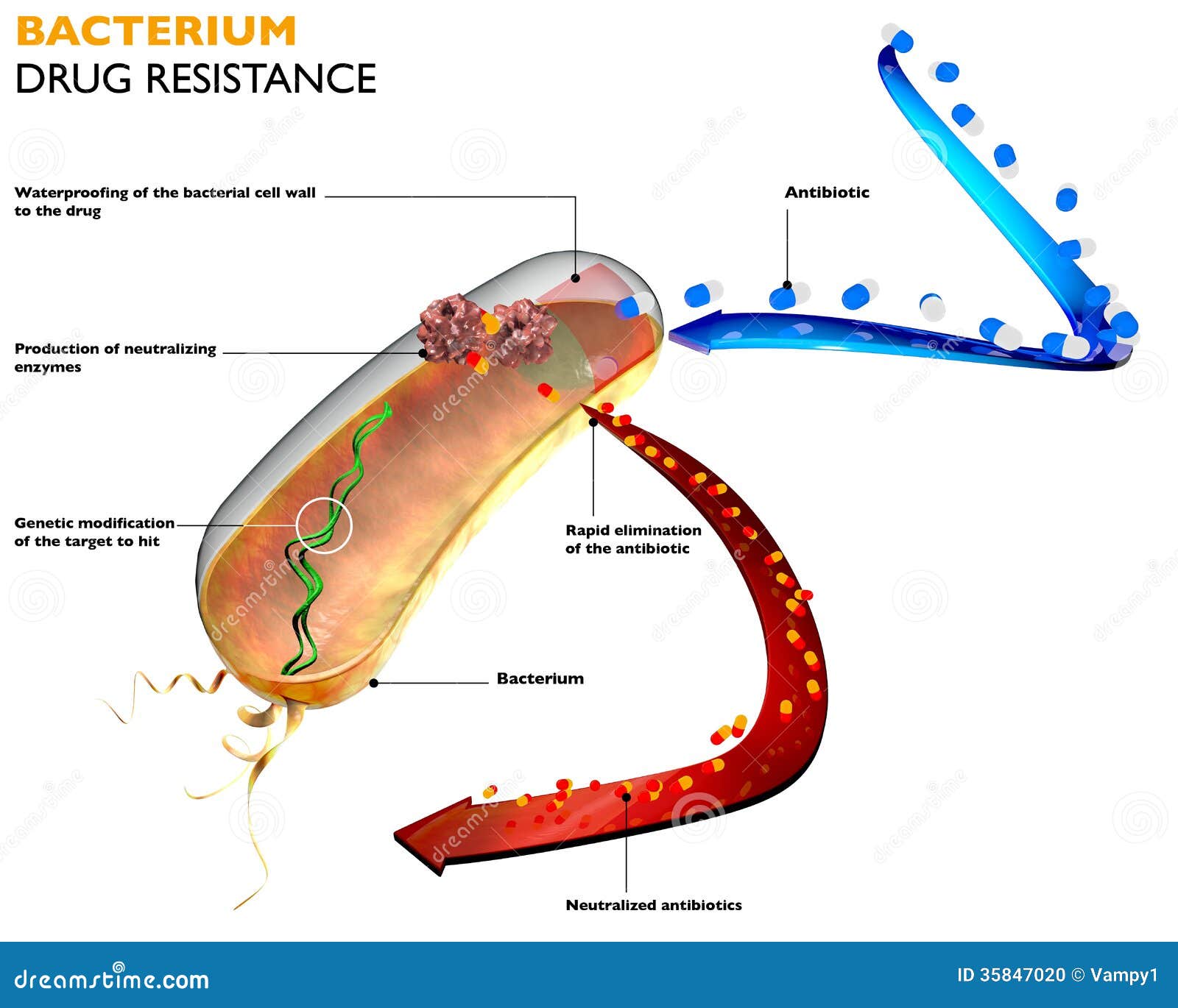 Resistenza Dei Batteri Agli Antibiotici Illustrazione di Stock - Illustrazione di abituato ...
